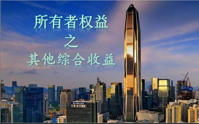 所有者权益-其他综合收益