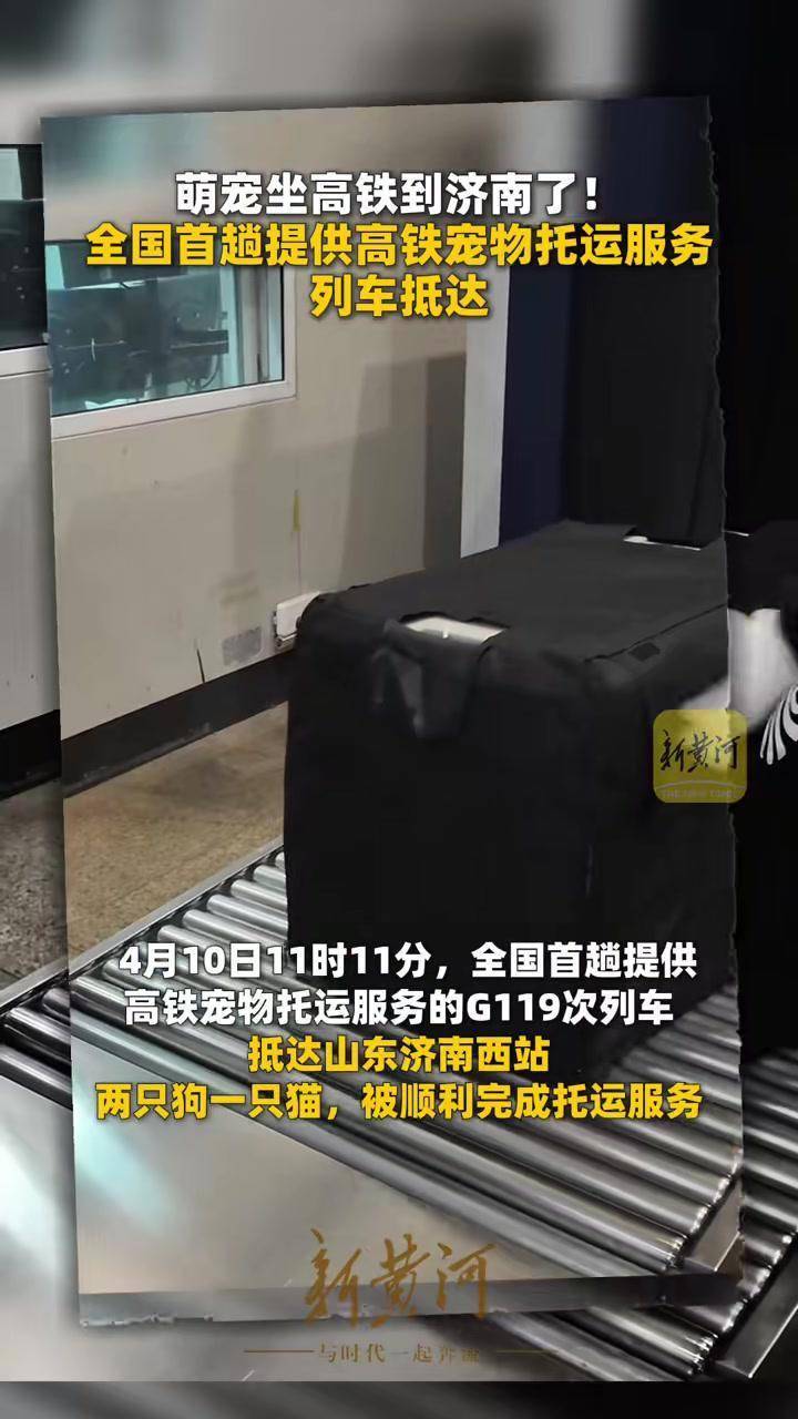 萌宠坐高铁到山东了!全国首趟提供高铁宠物托运服务列车抵达(记者柴...