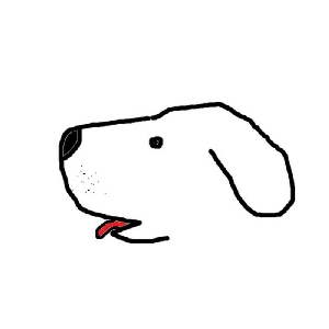 胖胖l王子 