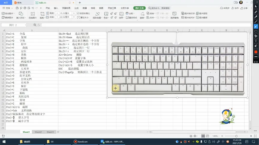 零基础入门学习WPS表格制作,老师一步一步教会你