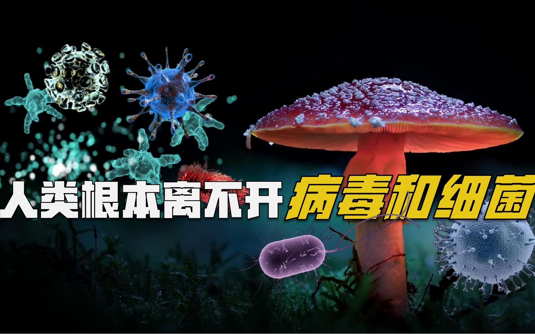 想要彻底消灭病毒和细菌?不!我们根本无法做到!