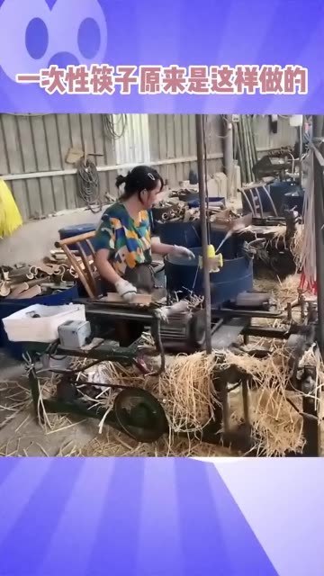 一次性筷子原来是这样做的,看完两眼一黑