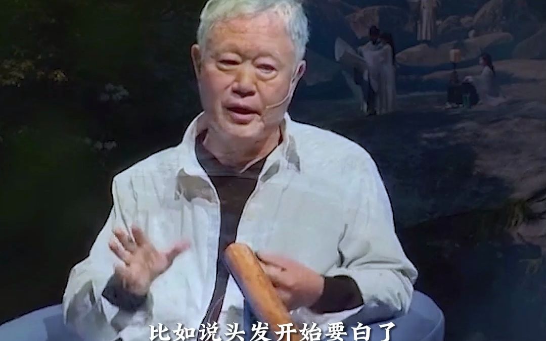 蒋勋:苏轼最动人的句子