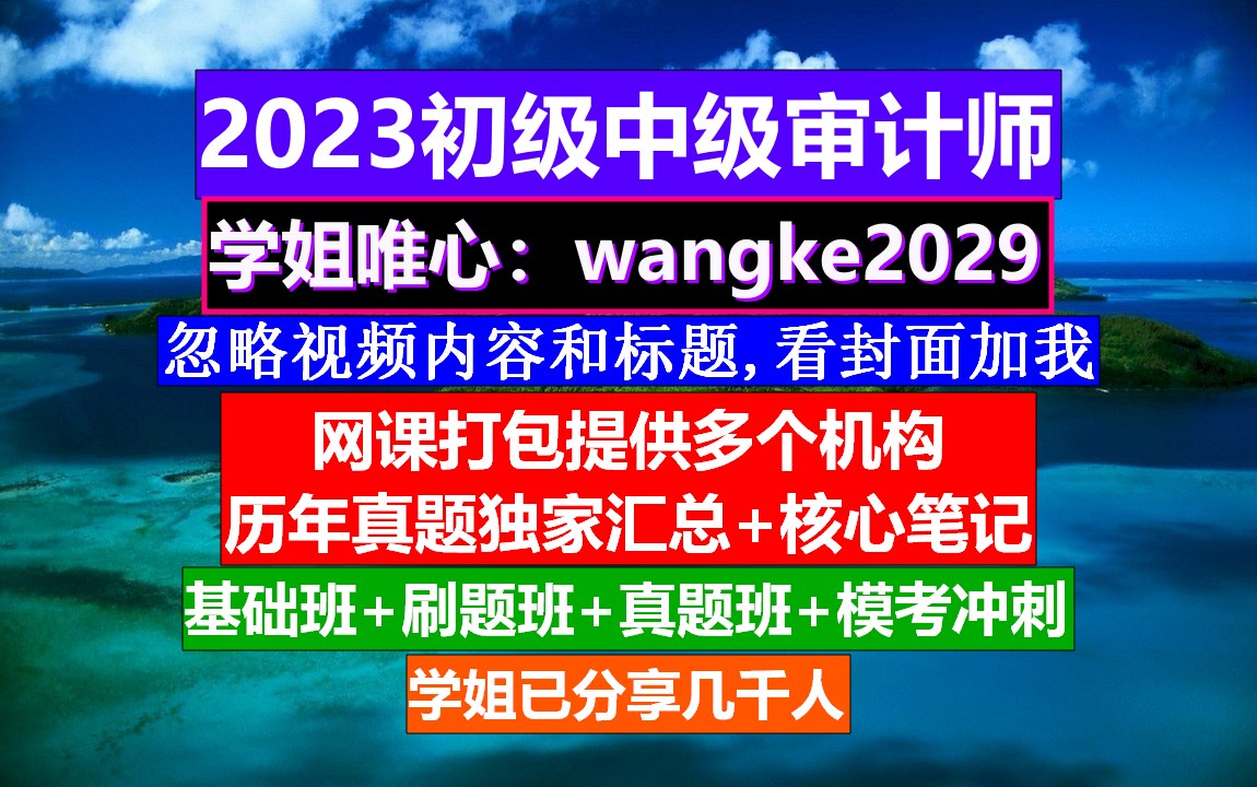 2023审计师考证,审计师考试真题及答案,审计师考试科目书