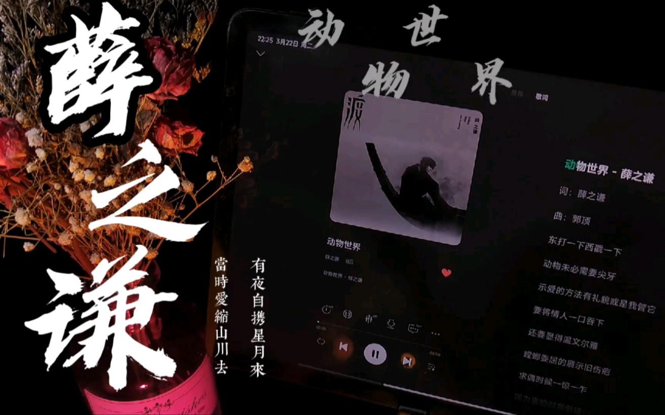 薛之谦——《动物世界》3D人声增强