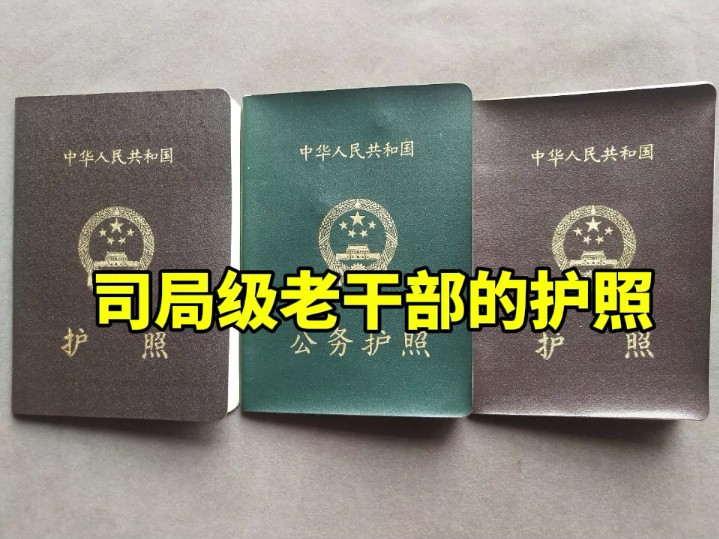 ...护照应该是退休返聘的国家机械工业委员会下属的行业协会任职时的