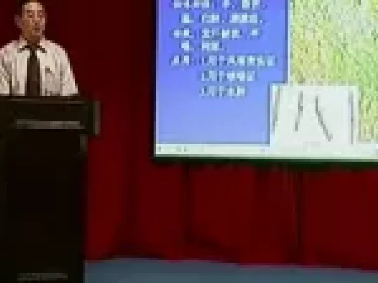 19《中药学》发散风寒药:麻黄、桂枝(一)