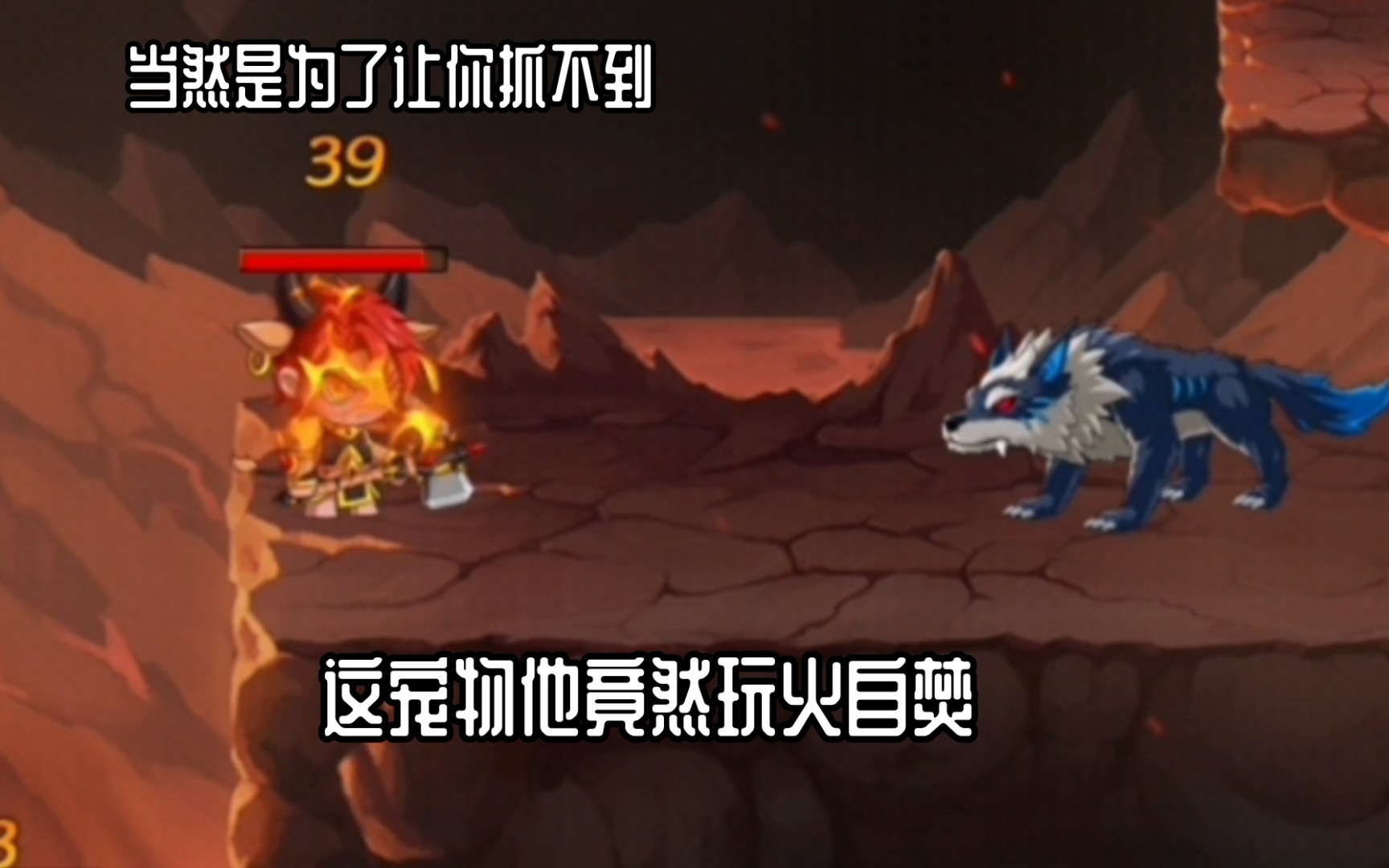 【造梦无双】平民的牛年新宠物在哪里抓