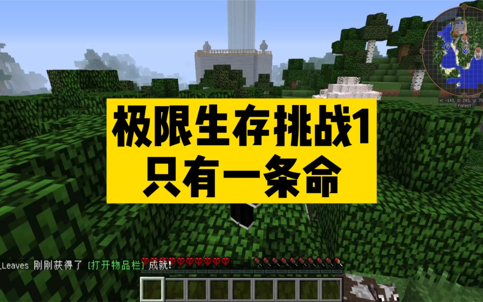 叶枫我的世界极限生存挑战1