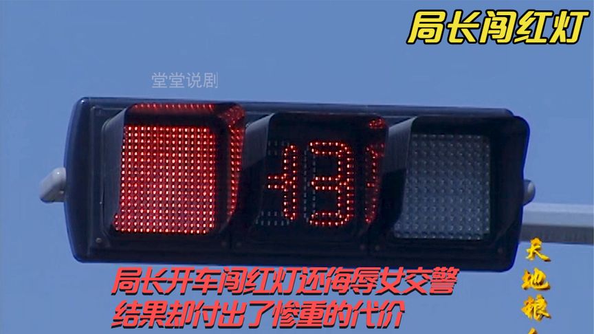 局长逆行闯红灯,还侮辱交警,影视剧