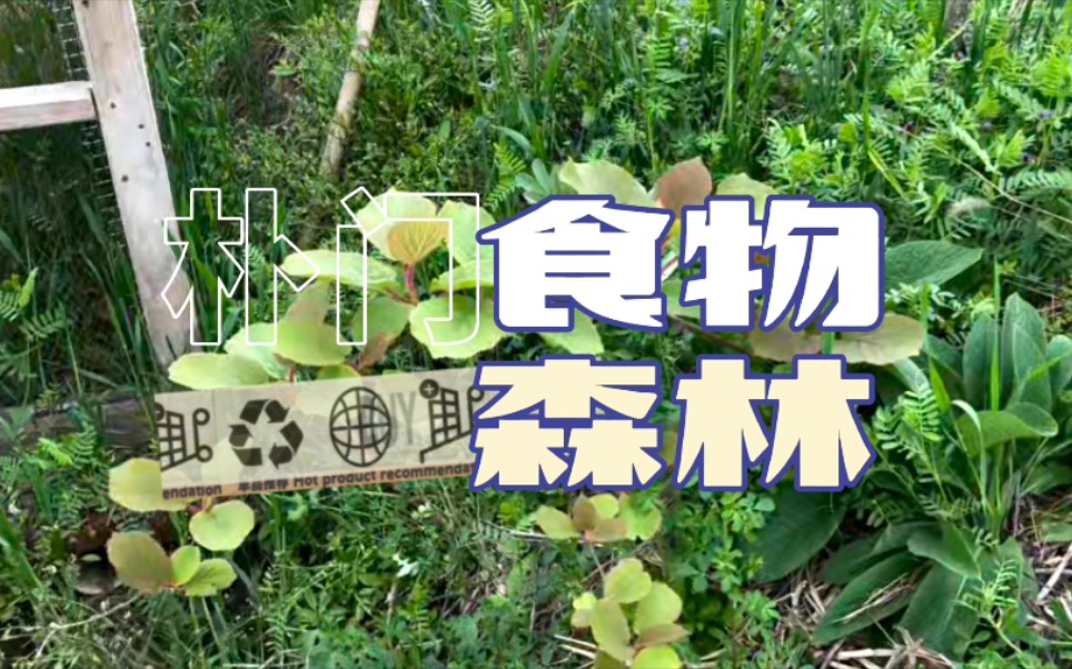 学习大自然永续系统,构建生态农园的食物森林,实践自给自足生活方式