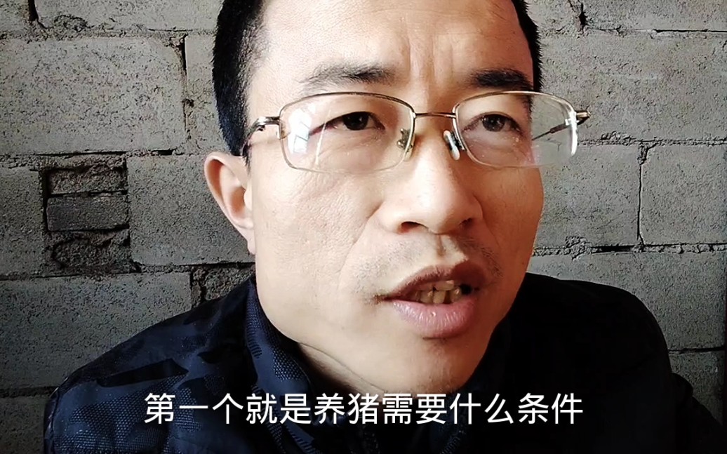 养猪好,还是养牛羊鸡鸭好?普通人搞养殖要了解的事儿