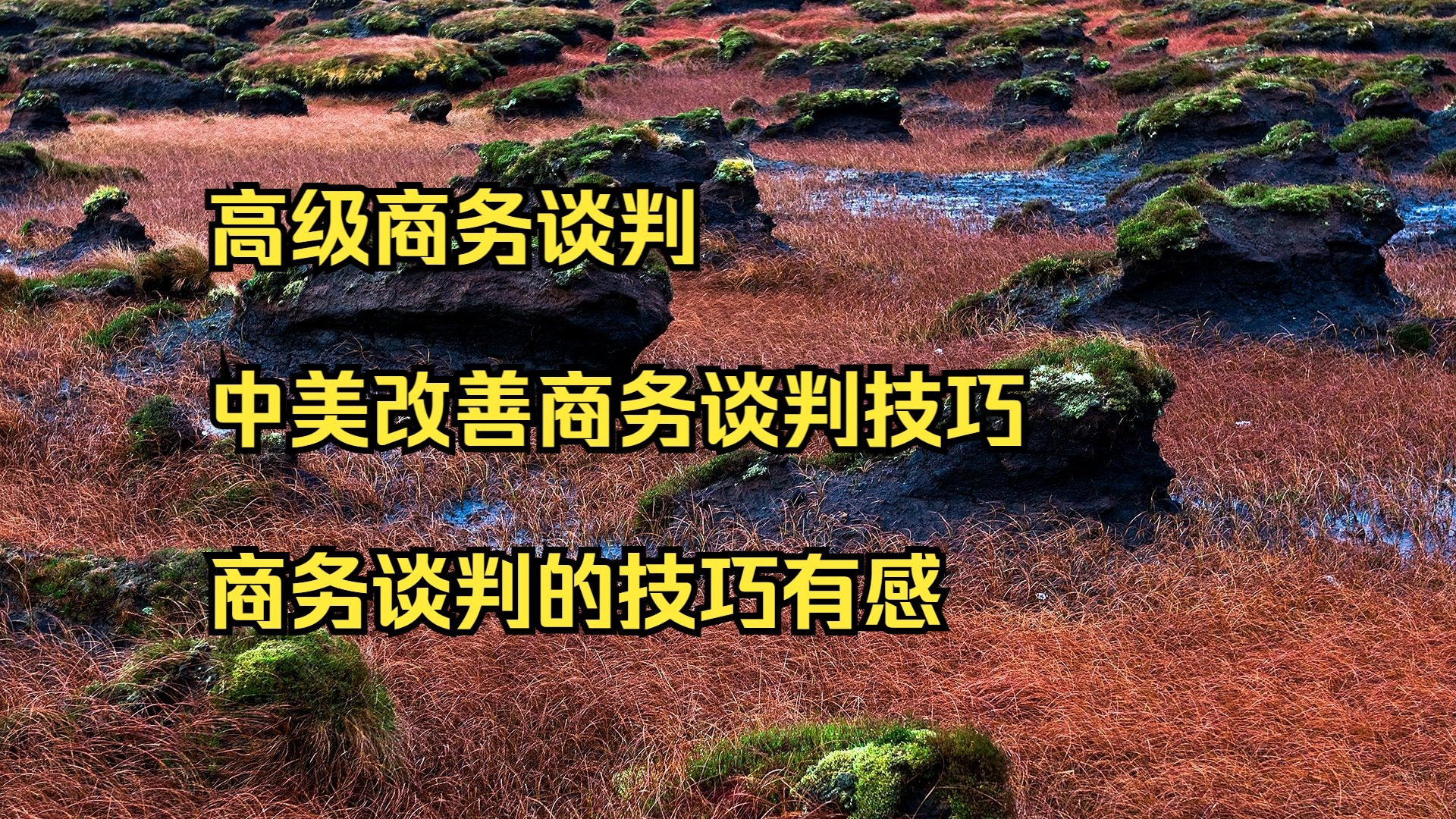 高级商务谈判 中美改善商务谈判技巧 商务谈判的技巧有感