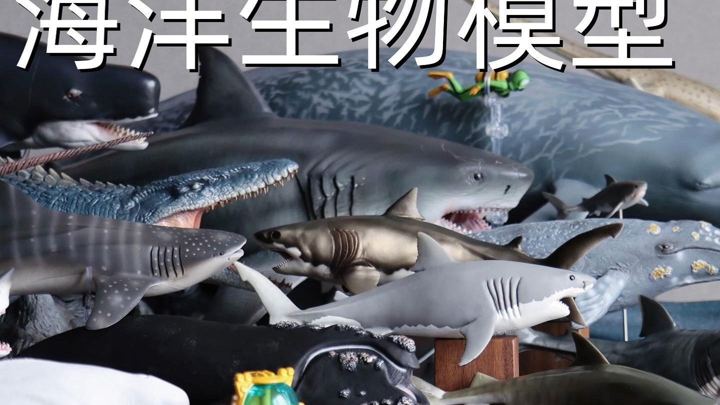 海洋生物 模型 玩具 蓝鲸 巨齿鲨 远古 古生物 动物模型 收藏 测评 梅鲸 ...