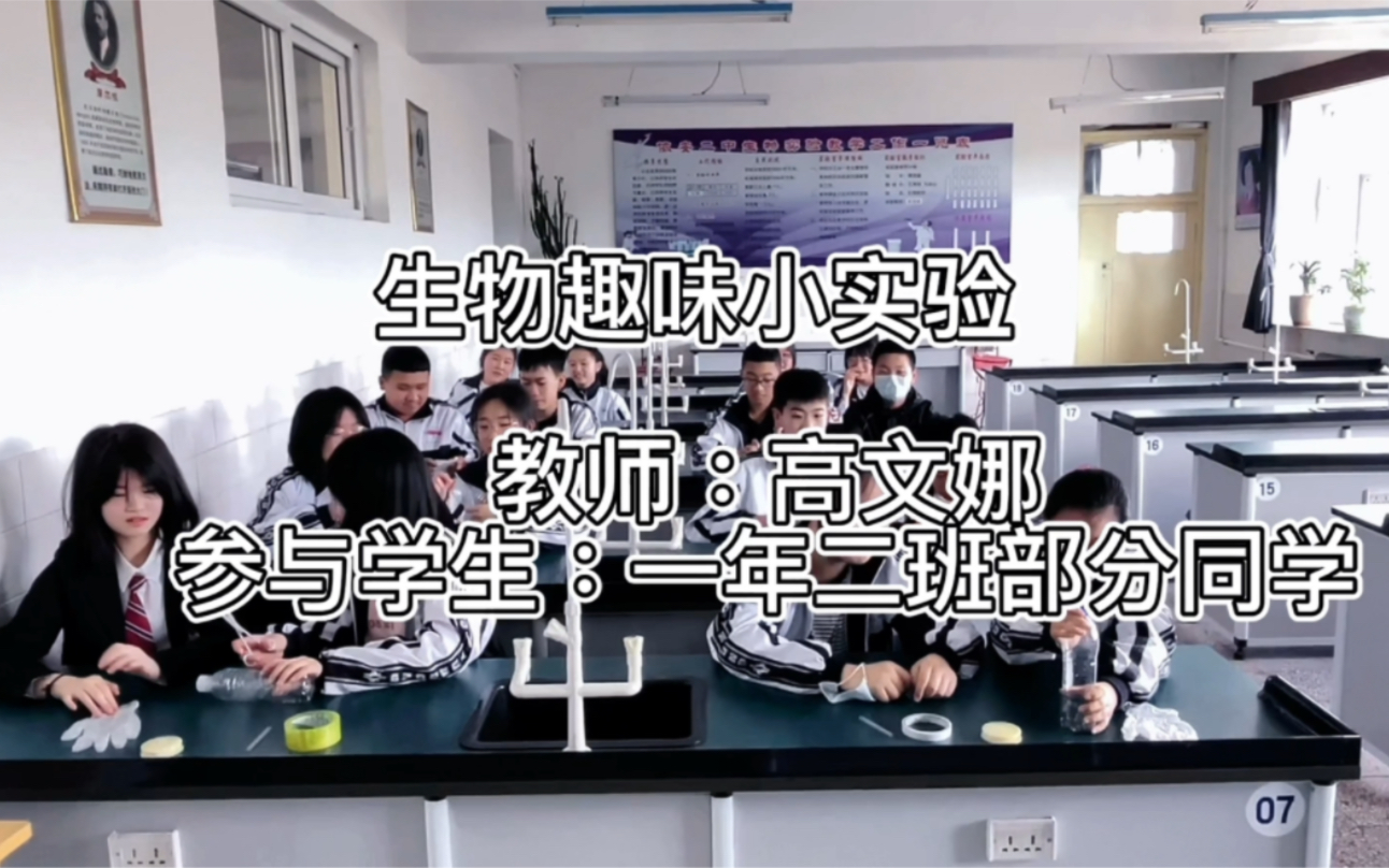 初中生物《发生在肺内的气体交换》模拟实验微视频、生物趣味小实验.