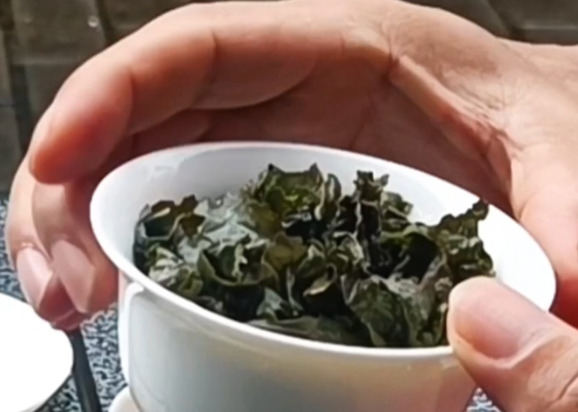 下雨天冲泡铁观音全过程