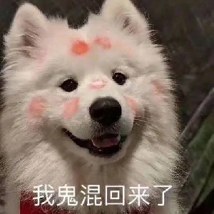 wenjunjunn 