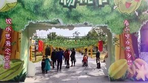 好吃又好看的杨桃长啥样?诗画梅江“杨桃节”开始啦,约起来!