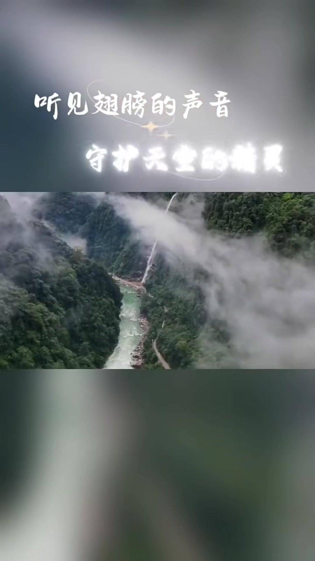 禁止非法猎捕贩卖鸟类等野生动物