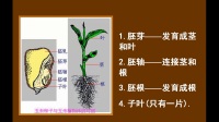 第1章 走进信息世界_第2节 信息获取与管理_①信息的需求分析_第二...
