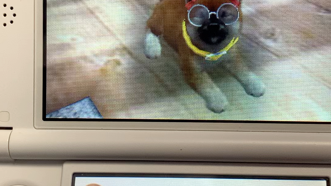 3dsll领养一只宠物犬,可以语音互动训练,很值得收藏