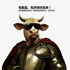 新芯向荣 