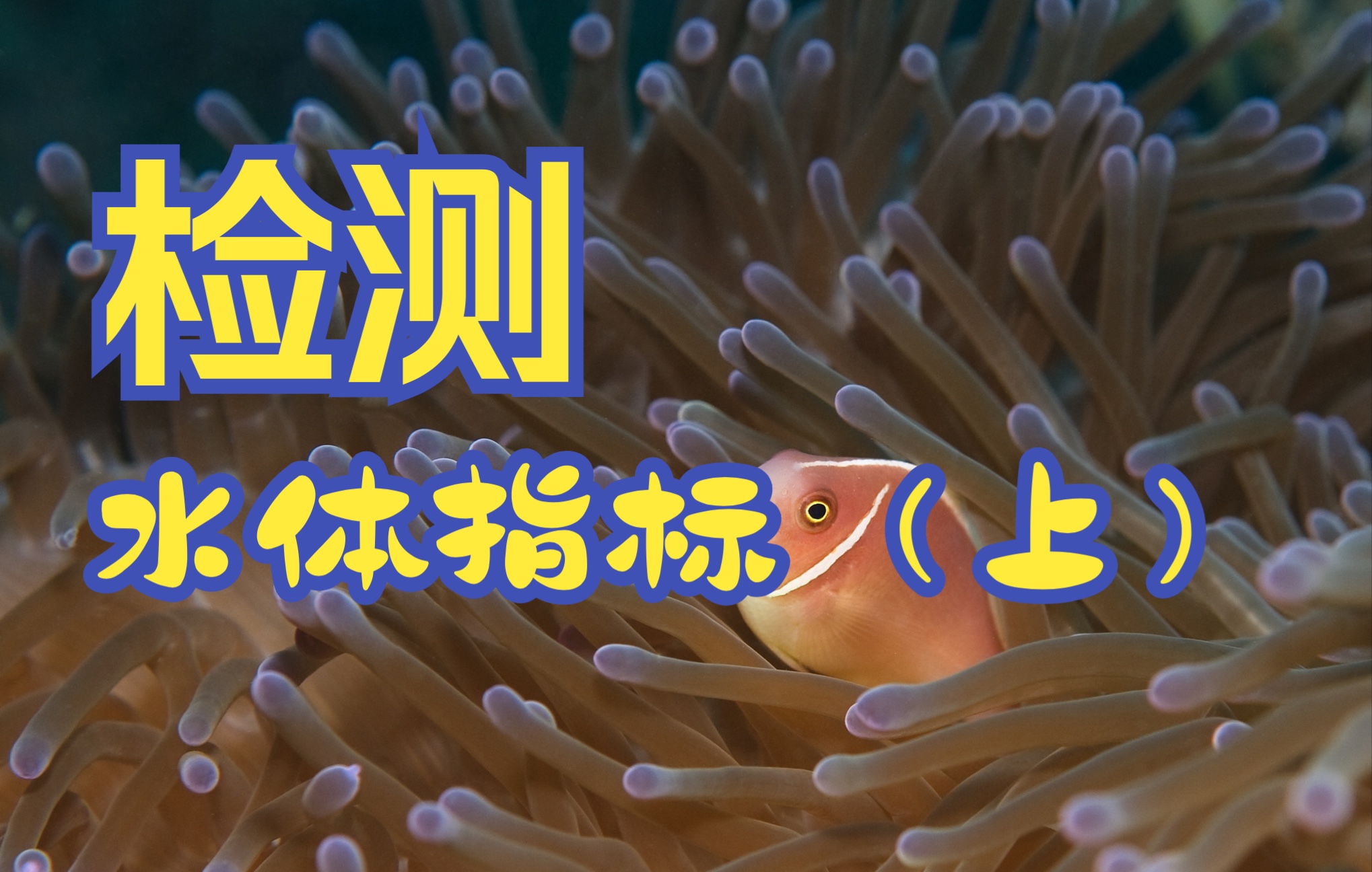 ...、海水缸理论基础——水质检测氨氮、亚硝酸盐、硝酸盐、PH指标