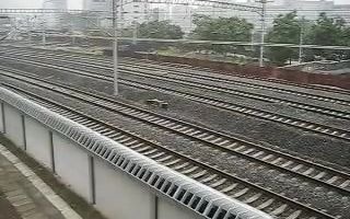 从北京开往丹东/平壤方向的K27次列车 担任列车为韶山九型电力机车+...