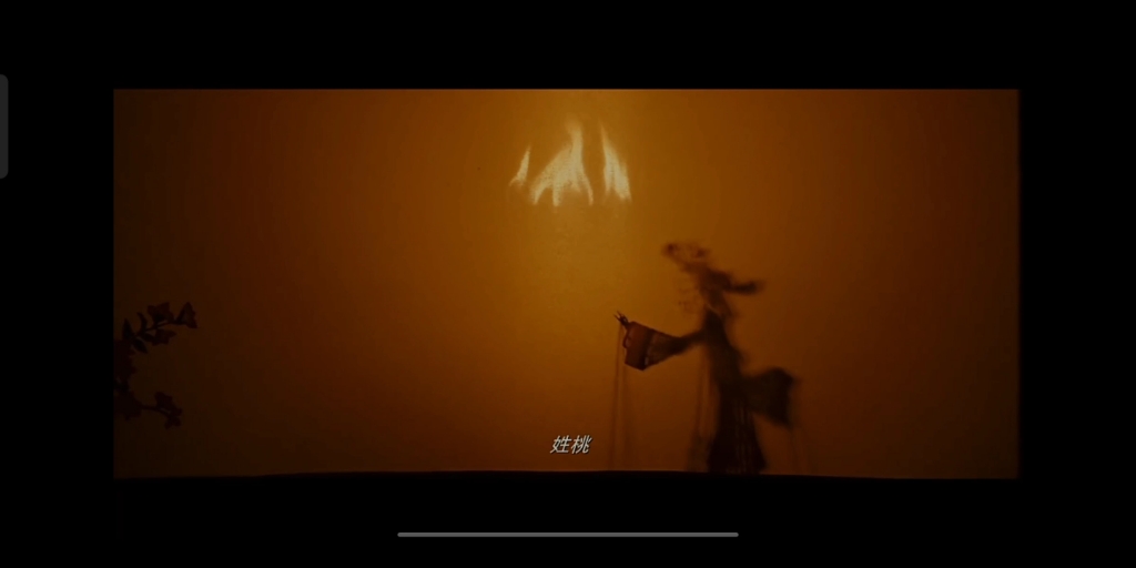 电影版《白鹿原》皮影戏——白孝文和田小娥