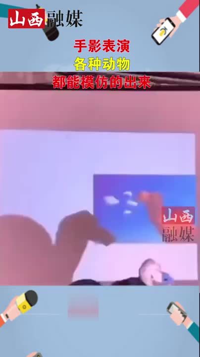 手影表演,各种动物,都能模仿的出来