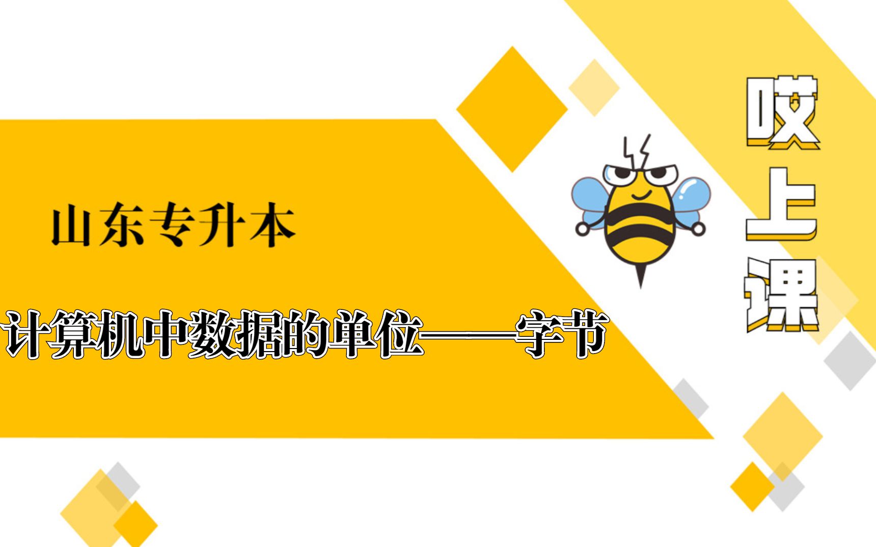 23山东专升本【计算机】计算机中数据的单位——字节