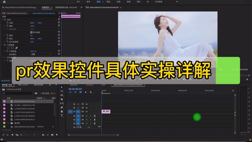 pr效果控件具体实操详解,两个方向,四个基本点!