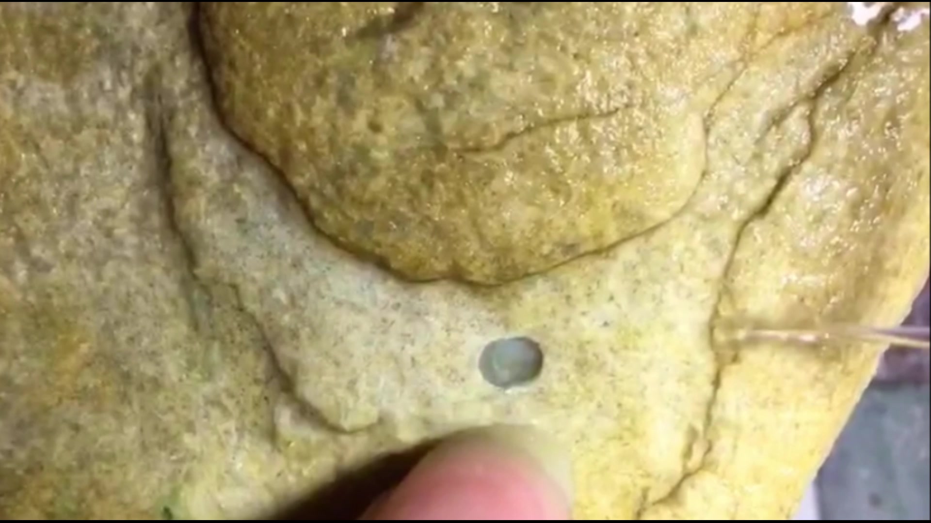 玉石交流,莫西沙黄皮的翡翠原石,能切出黄加绿的品质吗?