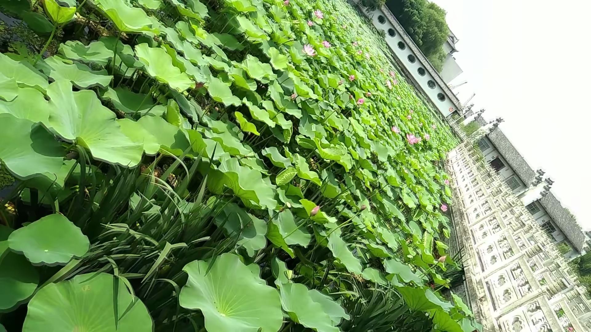 魔爪稳定器的盗梦空间模式