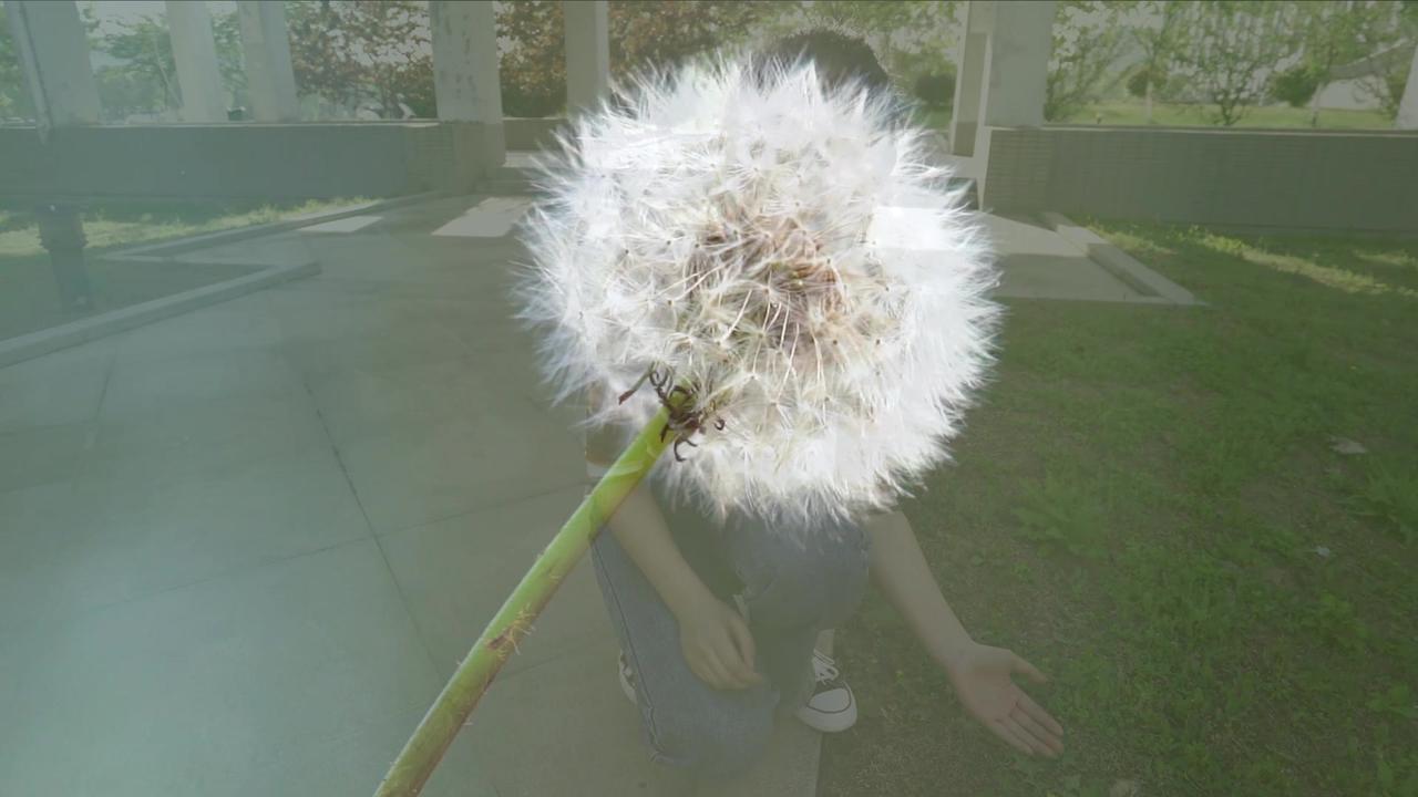 #招生宣传哪家强 医专招生宣传(六):药学系 中药学专业