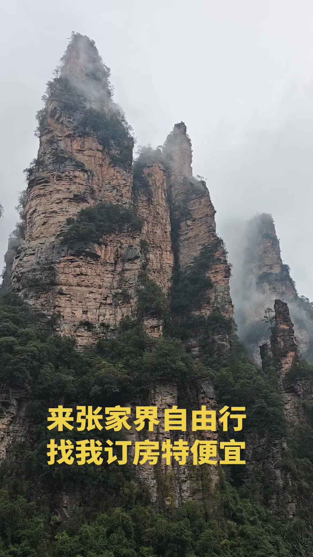 五星酒店300起 #张家界旅游攻略 #张家界自由行攻略