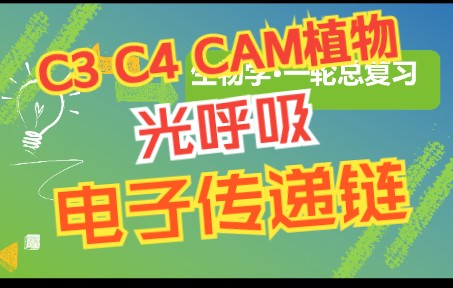 【高中生物一轮复习】解惑练1.2.3 C3植物C4植物CAM植物景天酸...