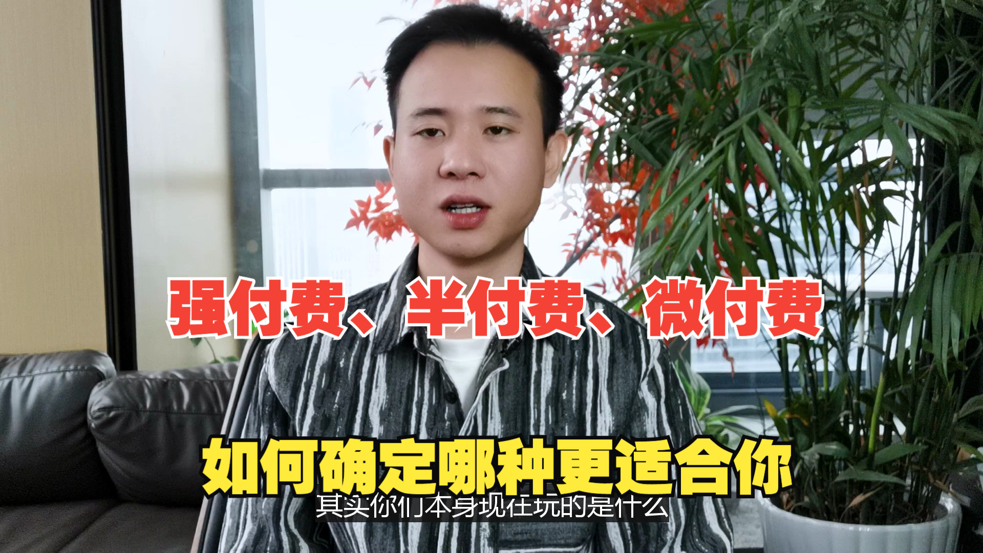 拼多多强付费、半付费、微付费,如何确定哪种更适合你