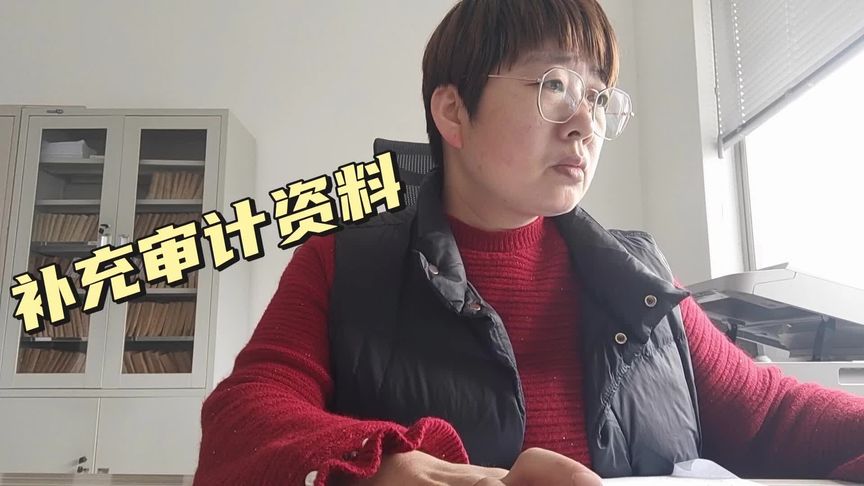 22年的老会计补充完审计资料又开票,每天的工作都简单重复