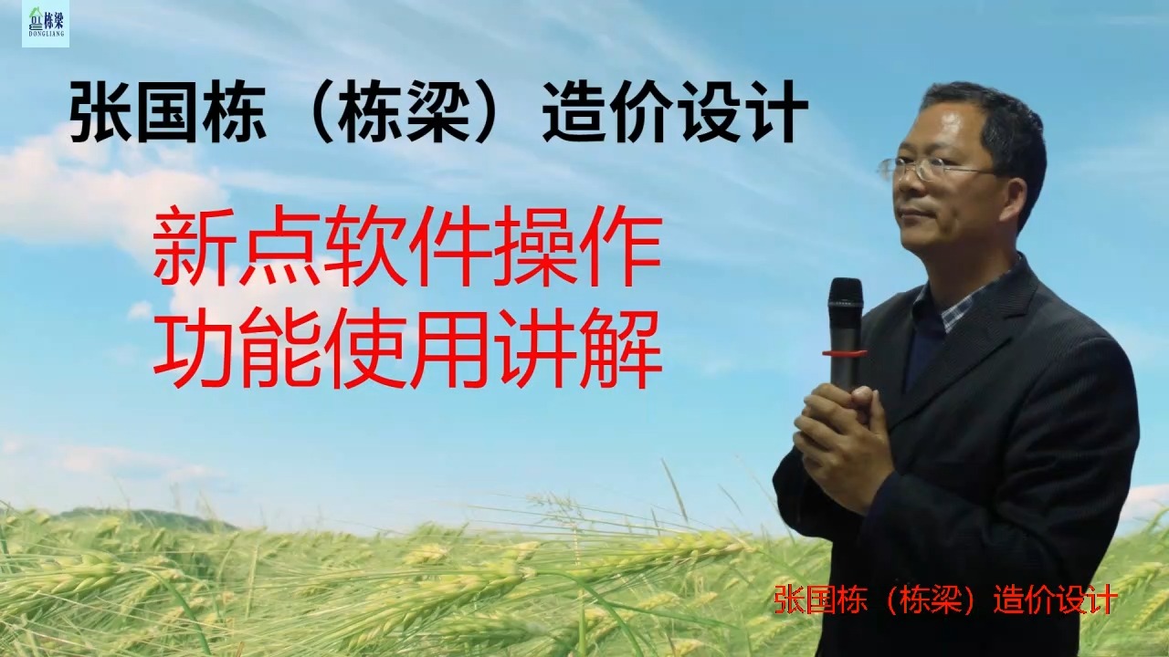 张国栋(栋梁)造价设计:新点软件操作功能使用讲解