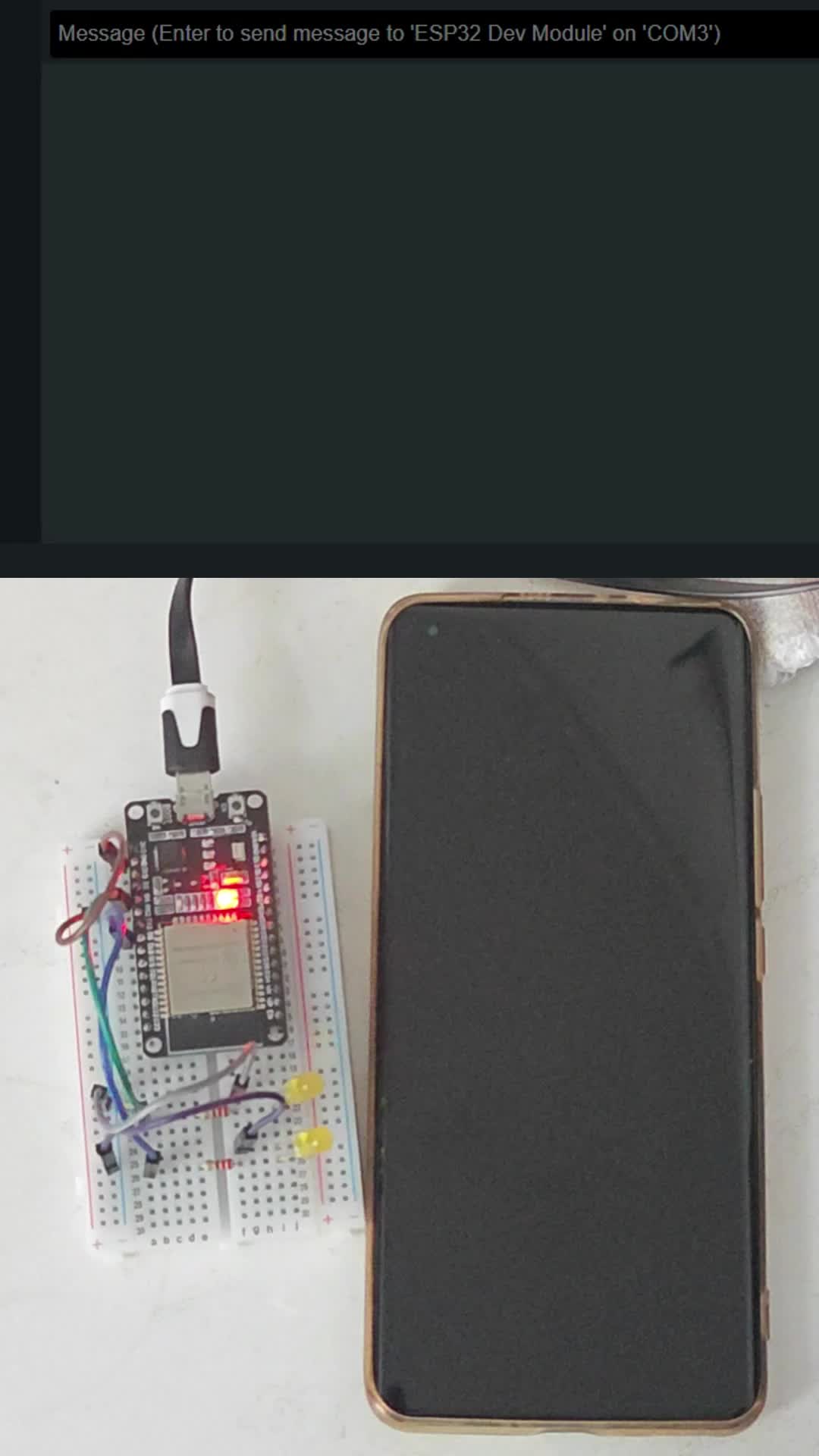 基于 Arduino IDE 搭建一个轻量的 ESP32 Web 服务器