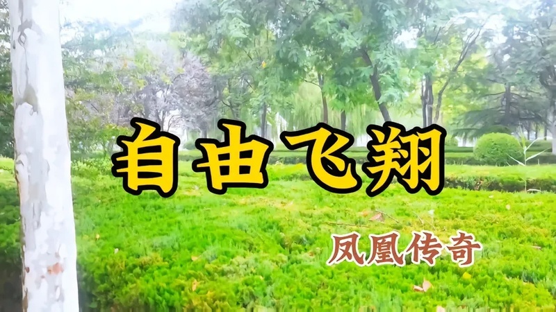 凤凰传奇一曲经典老歌《自由飞翔》