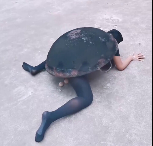 这是哪个品种的爬行动物!