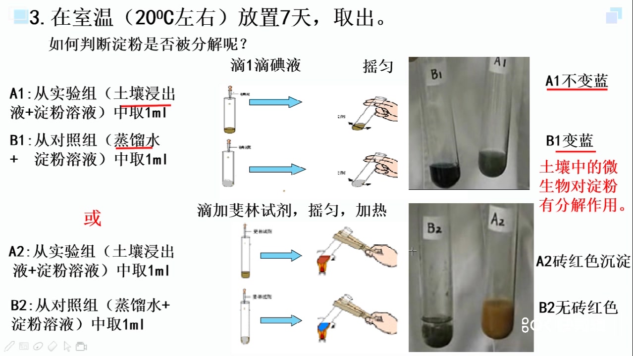 2.22生物 生态系统的物质循环+土壤中微生物的分解作用、信息传递