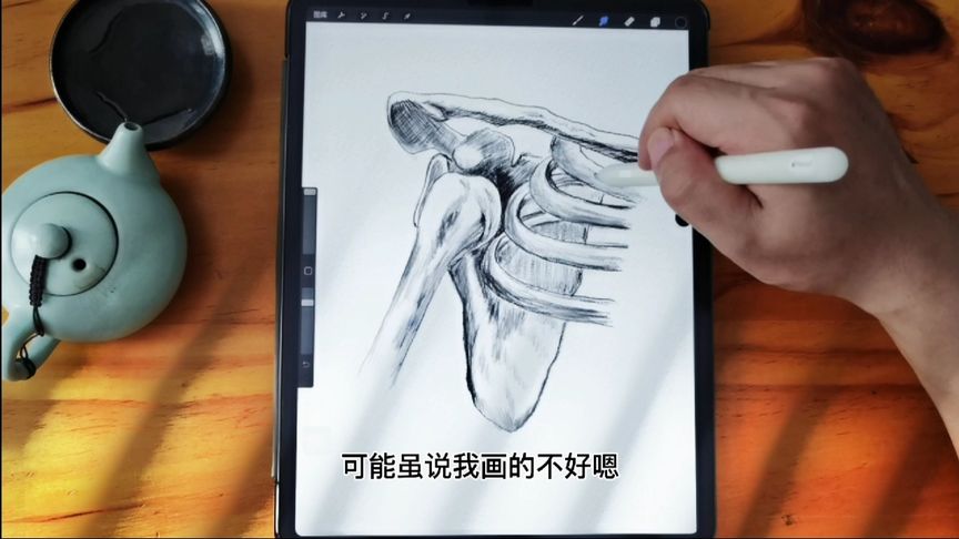 医生的解剖绘画,猜猜是什么部位,你有没有当医生的潜质?