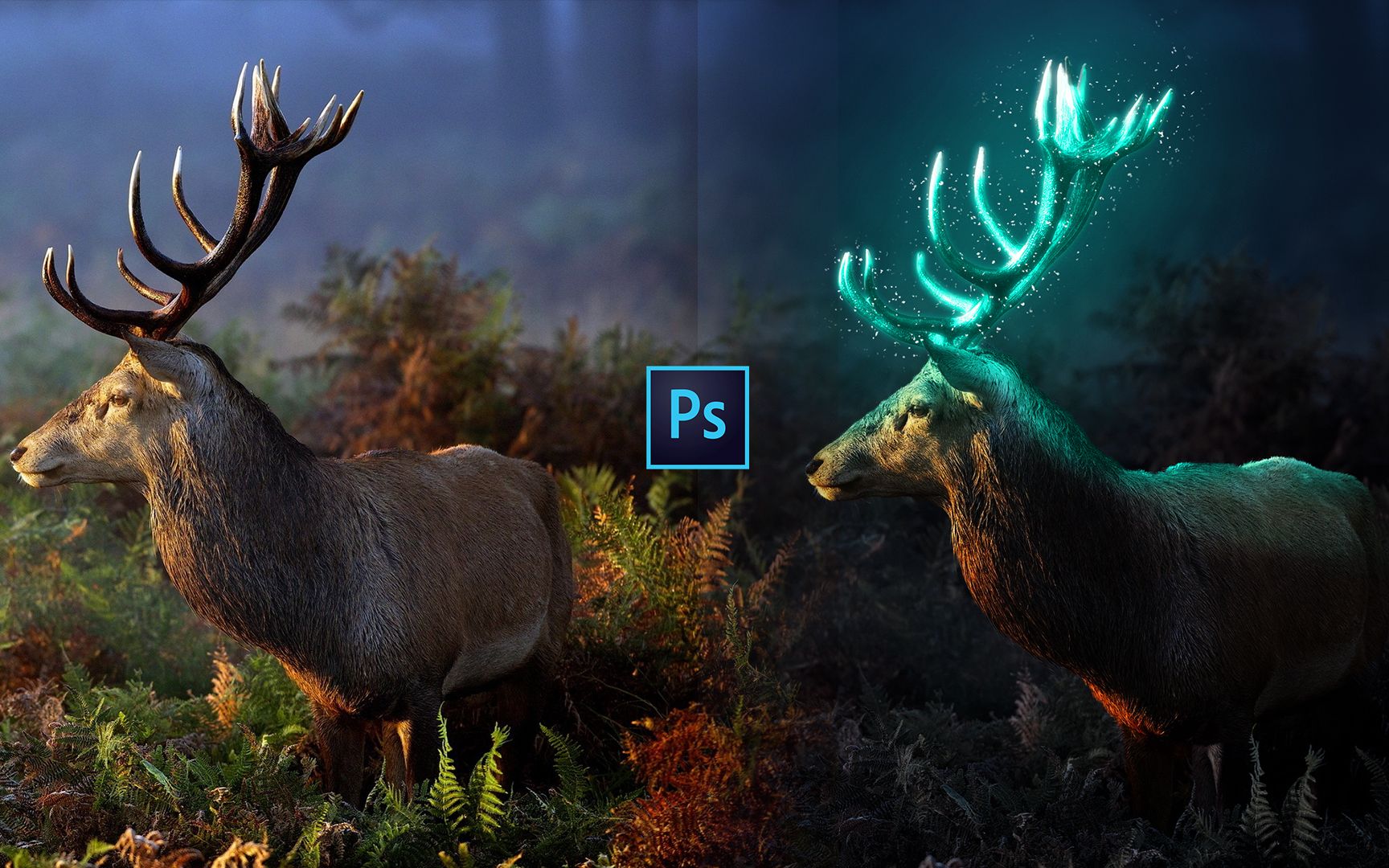 【PS教程】如何在PS中制作物体发光效果 Photoshop小教程