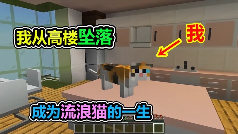 MC我的世界:我变成了一只流浪猫,从高楼坠落会摔死吗