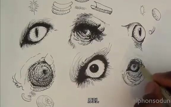 【初学者】素描绘画教程-如何绘制逼真的动物眼睛【汉化】