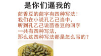 到底茴香豆的茴字有几种写法? 大掌柜1分钟写4种写法, 你看看