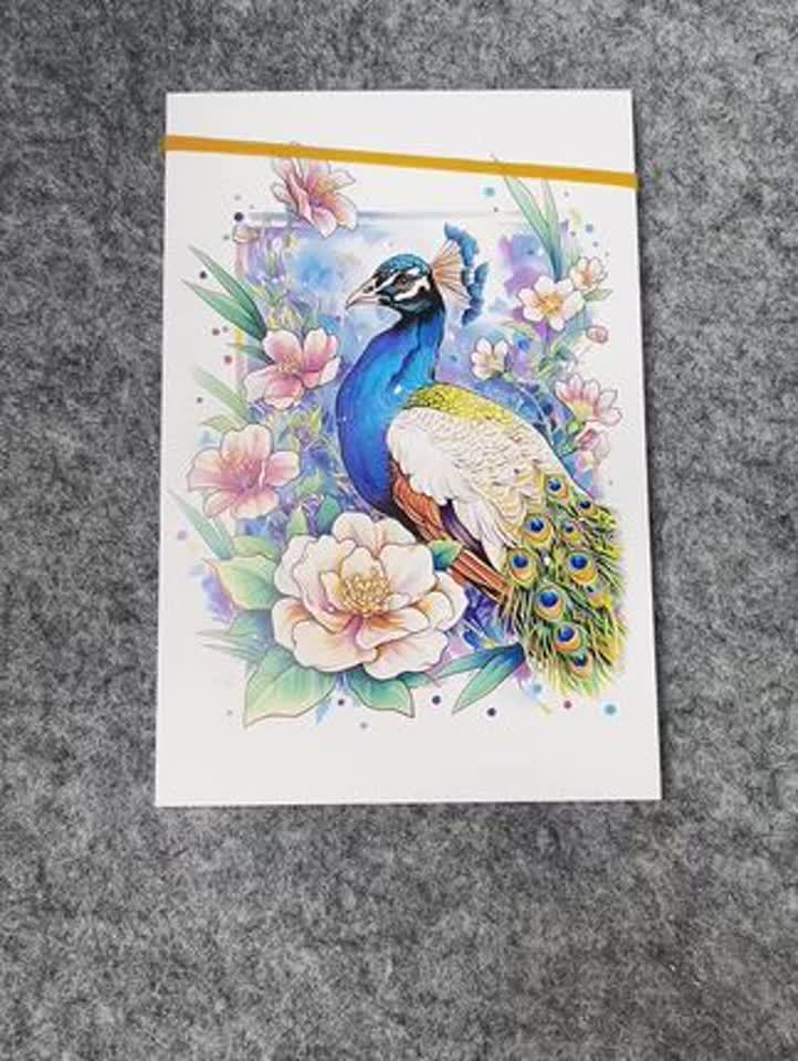 画出你的精彩世界